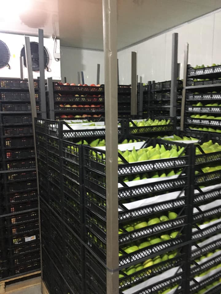 Cold Storage - Industrial Cold Room & Equipments - Frigo System