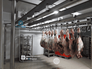 Cold Storage of Meat - Industrial Cold Room & Equipments - Frigo System