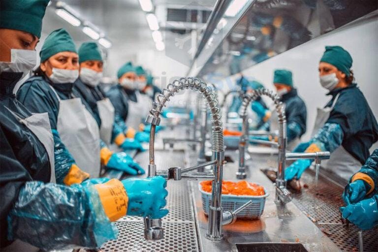 Fresh Fish Cold Room - Industrial Cold Room & Equipments